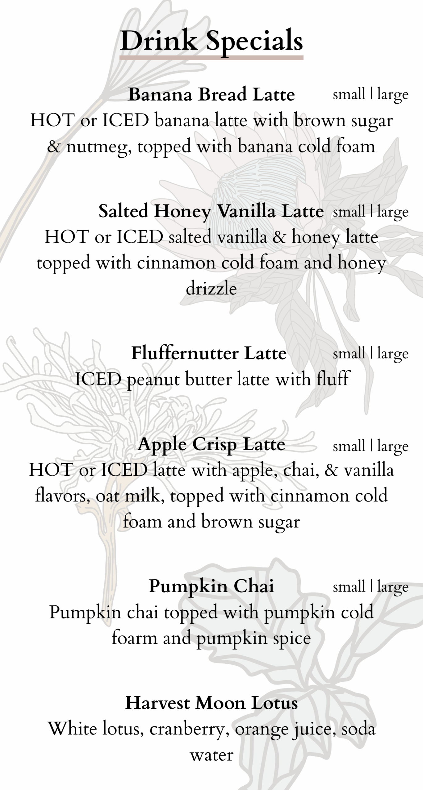 falmouth-menu-cafe-luna